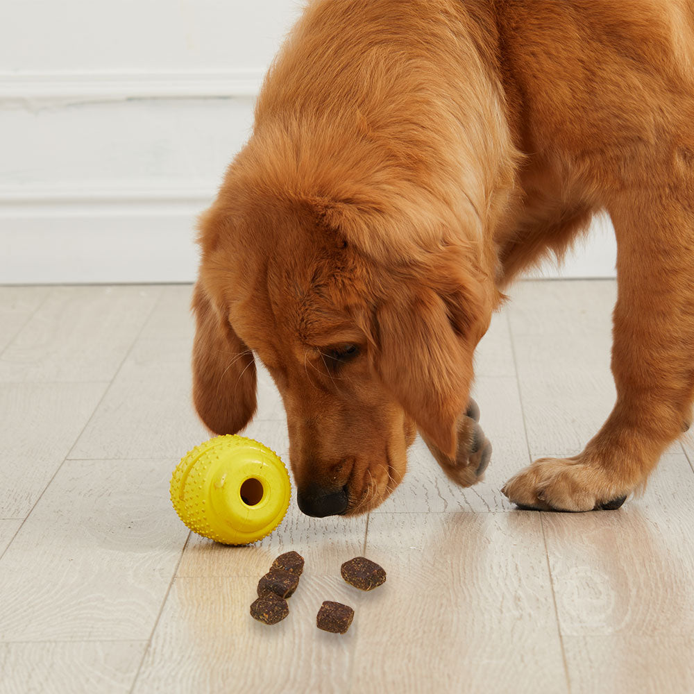 Rubber Dog Food Toy | Dog Treat Dispenser – yasenpet