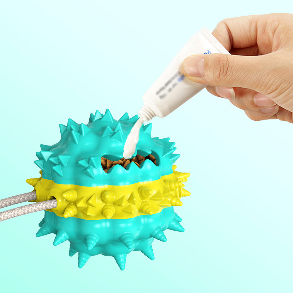 Squeaky Teeth Cleaning Ball – yasenpet